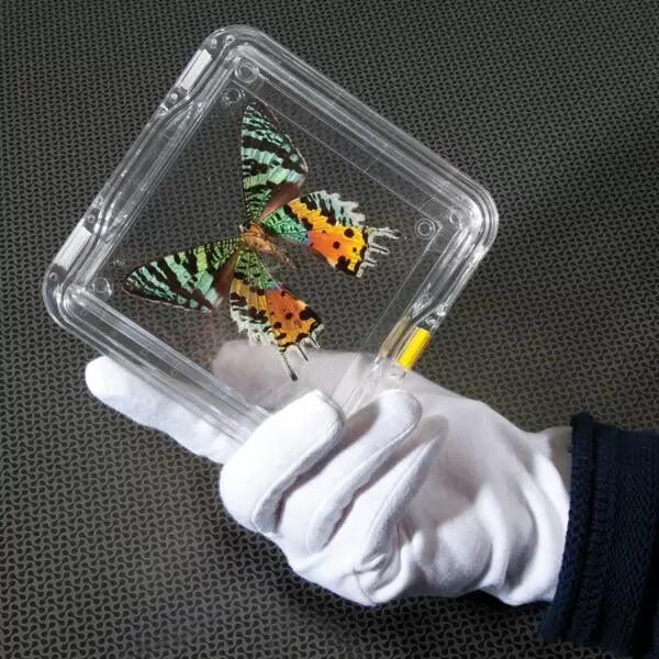 Suspension Storage Boxes