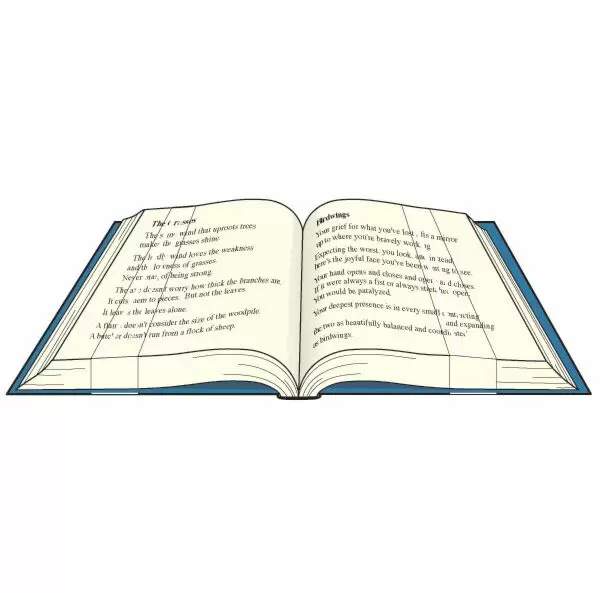 Clear Polyester Strips