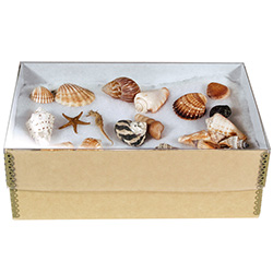 Artifact Storage - Archival Storage | University Products