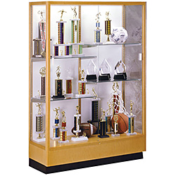 Display Cases & Mounts | Attractive Conservation Displays and Supports