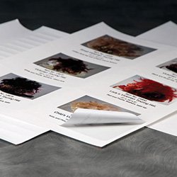 Labels - Archival Storage | University Products