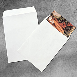 Tyvek Envelopes