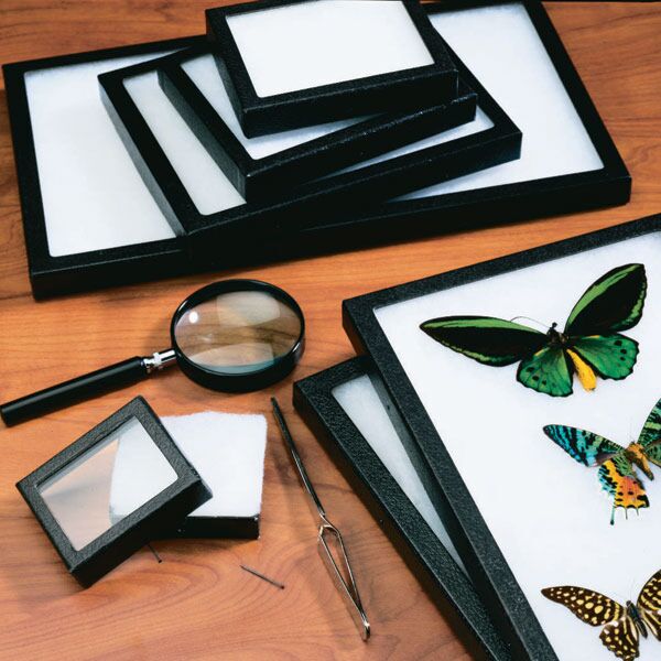 For over 75 years, Riker display mount boxes have served the academic