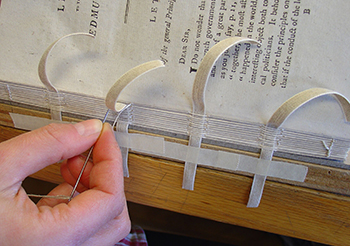 Archival Materials for Bookbinding & Repair | Bookcloth, Board, Thread